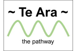 〰 Te Ara 〰